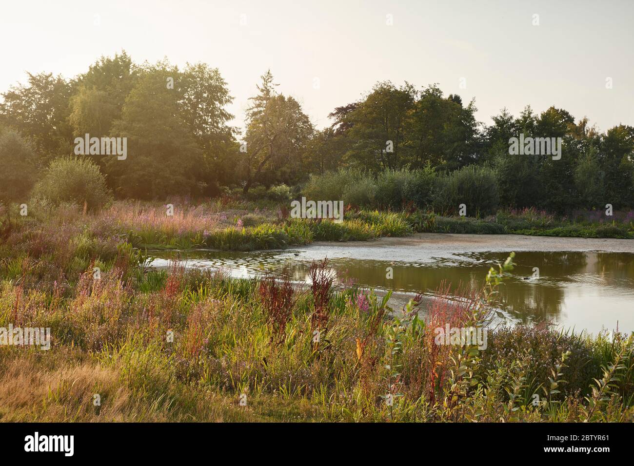 Gerrards Cross Common, Buckinghamshire Stock Photo - Alamy
