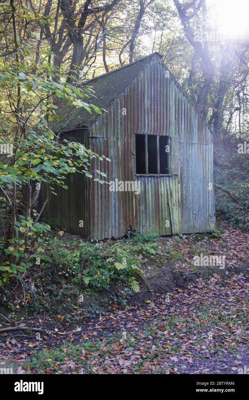 Old shack in woods hi-res stock photography and images - Alamy