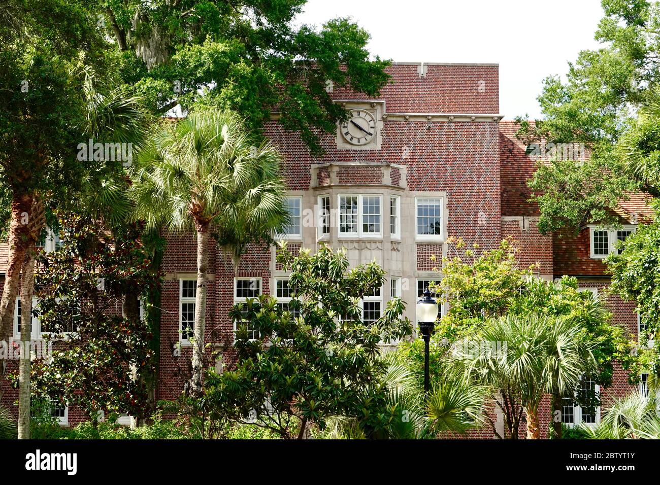 University of florida campus hi-res stock photography and images - Alamy