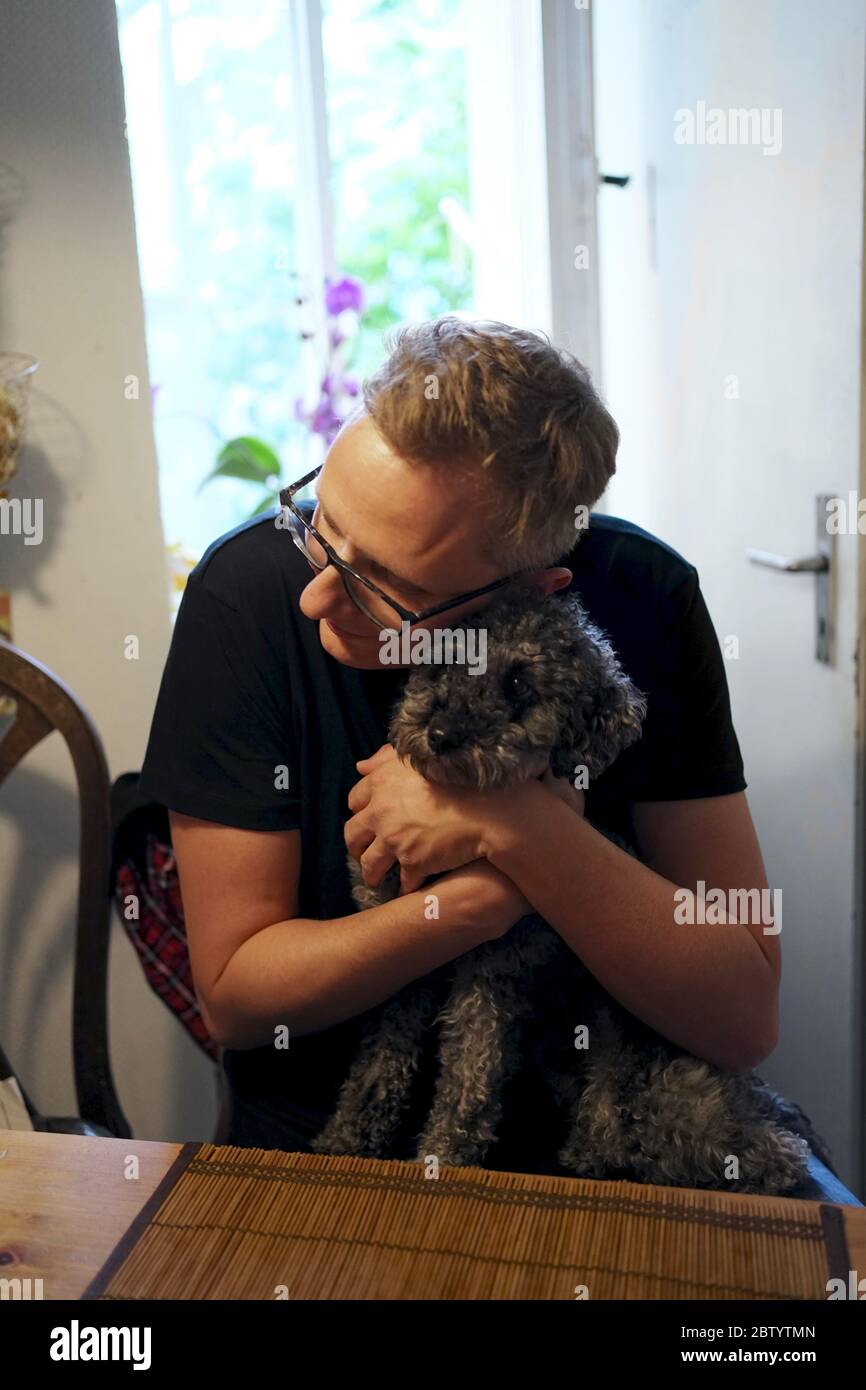 Man with glasses hugs adorable cute grey poodle dog with teddy bear ...