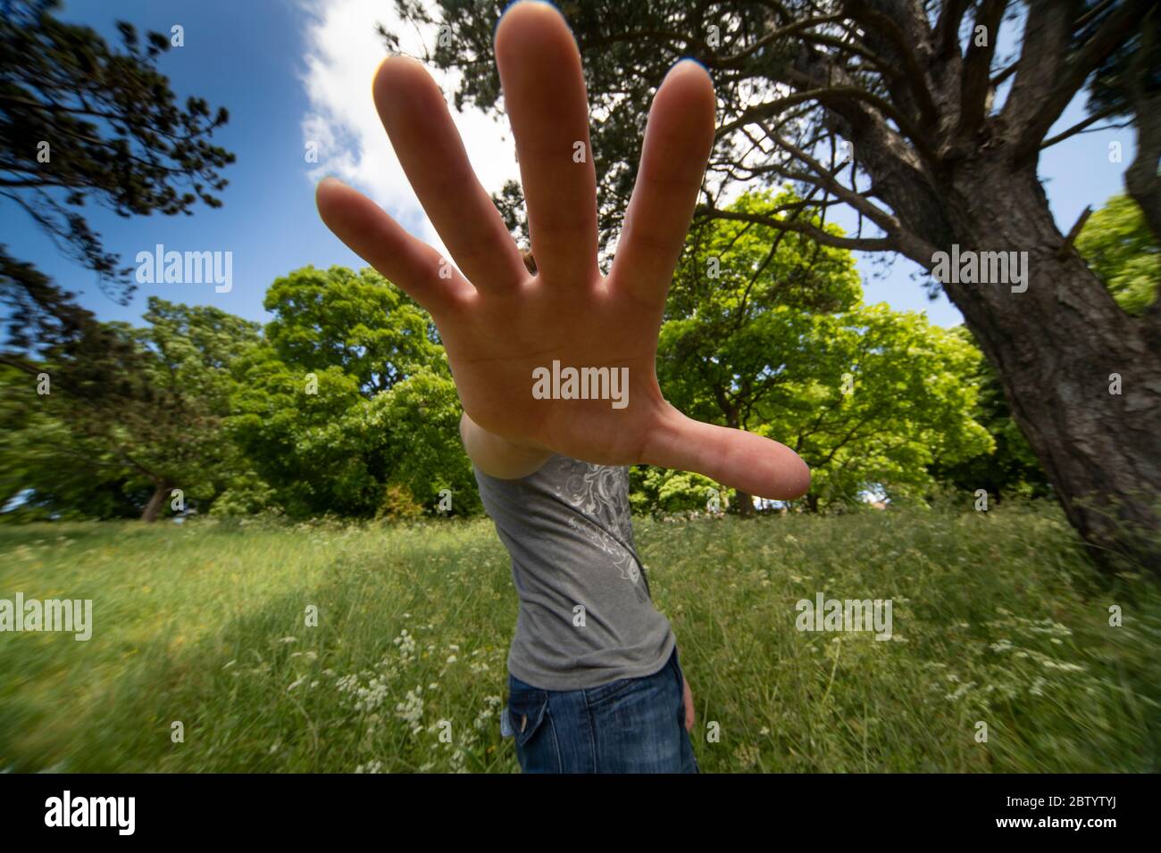 Big hand in the forest Stock Photo - Alamy