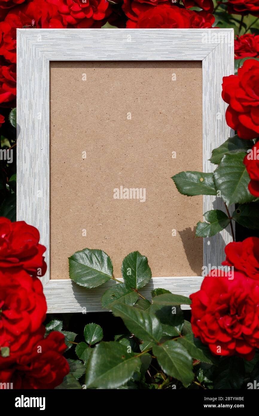 Empty Picture Frame in Natural Environment With Roses Stock Photo - Alamy