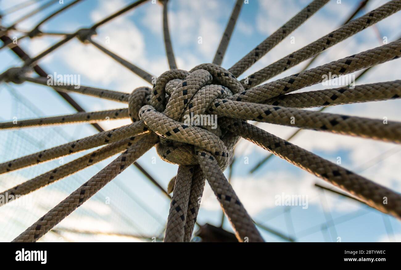 Cable inclusion hi-res stock photography and images - Alamy