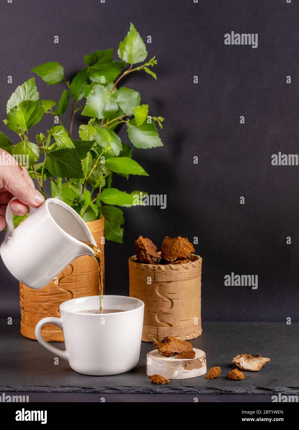Hand pouring healing beverage of birch mushroom chaga into white ...