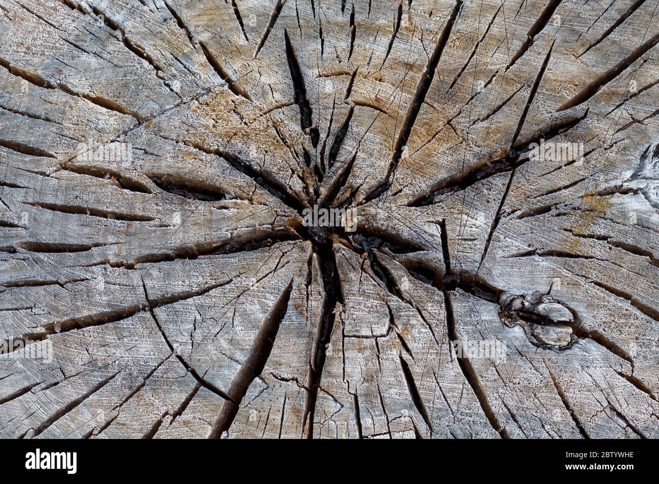 Old Weathered Cracked Wood Texture Stock Photo - Alamy