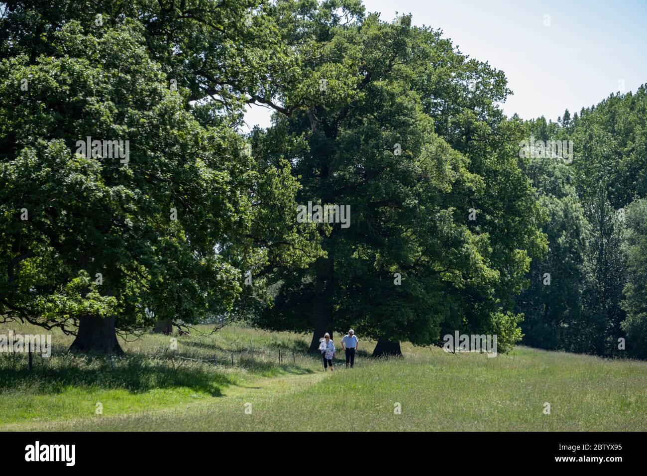 People walking through farmland alongside mature trees in Warwickshire ...
