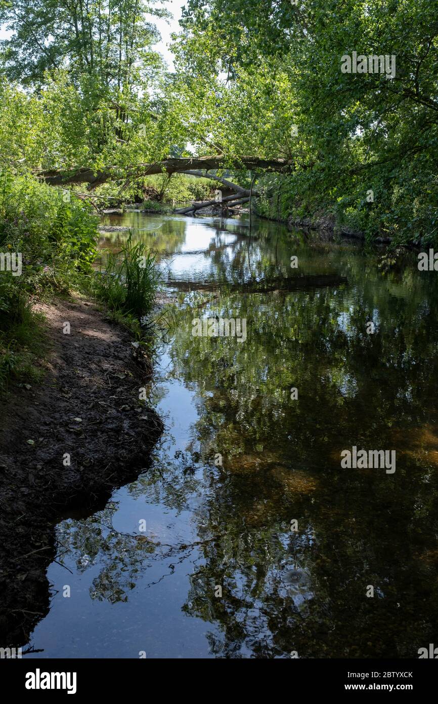 A sleepy River Arrow running through the Coughton area near Alcester ...