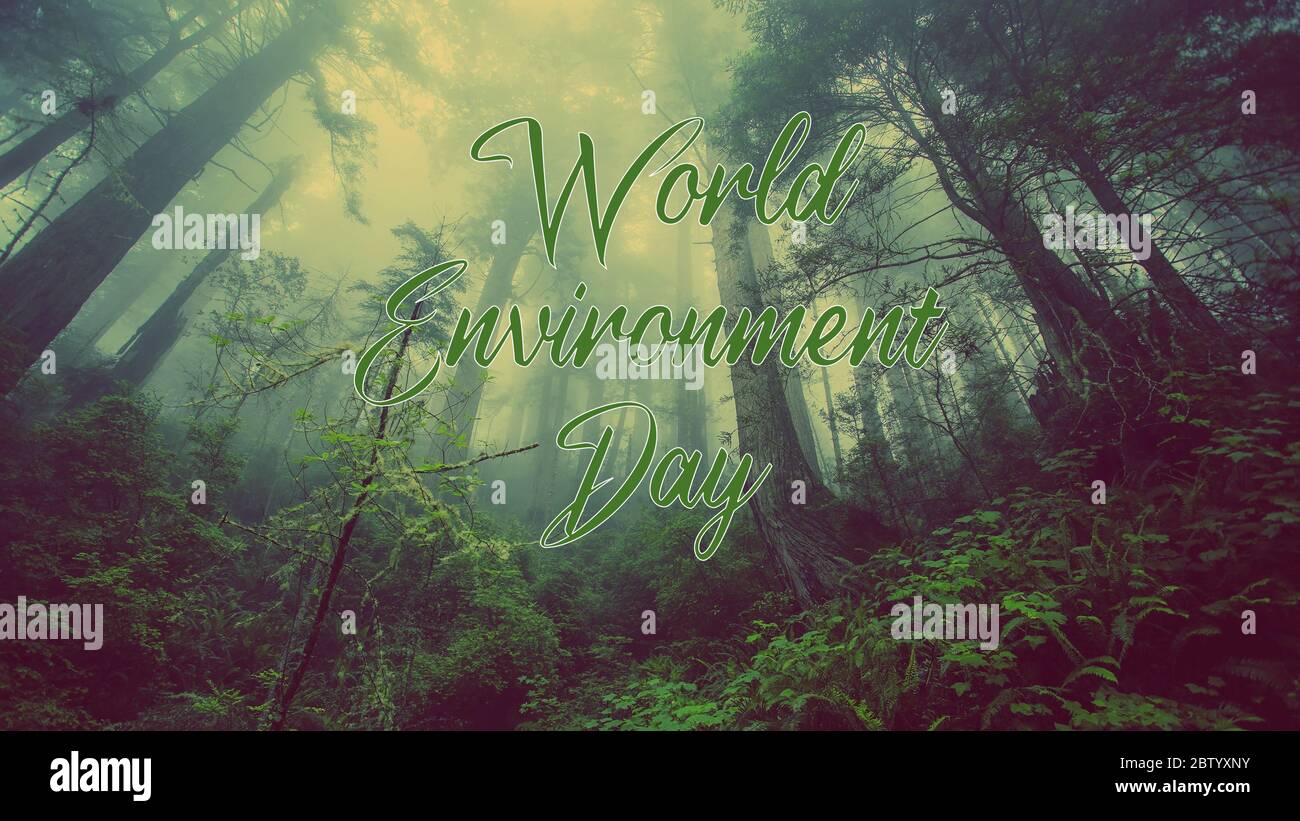 Poster or background related to Earth Day with the text World ...