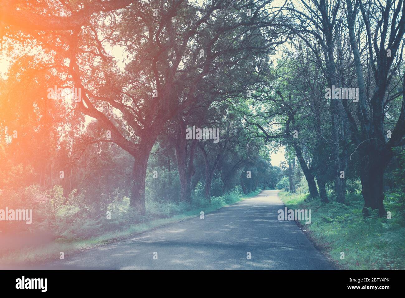 Roadside walkway hi-res stock photography and images - Alamy