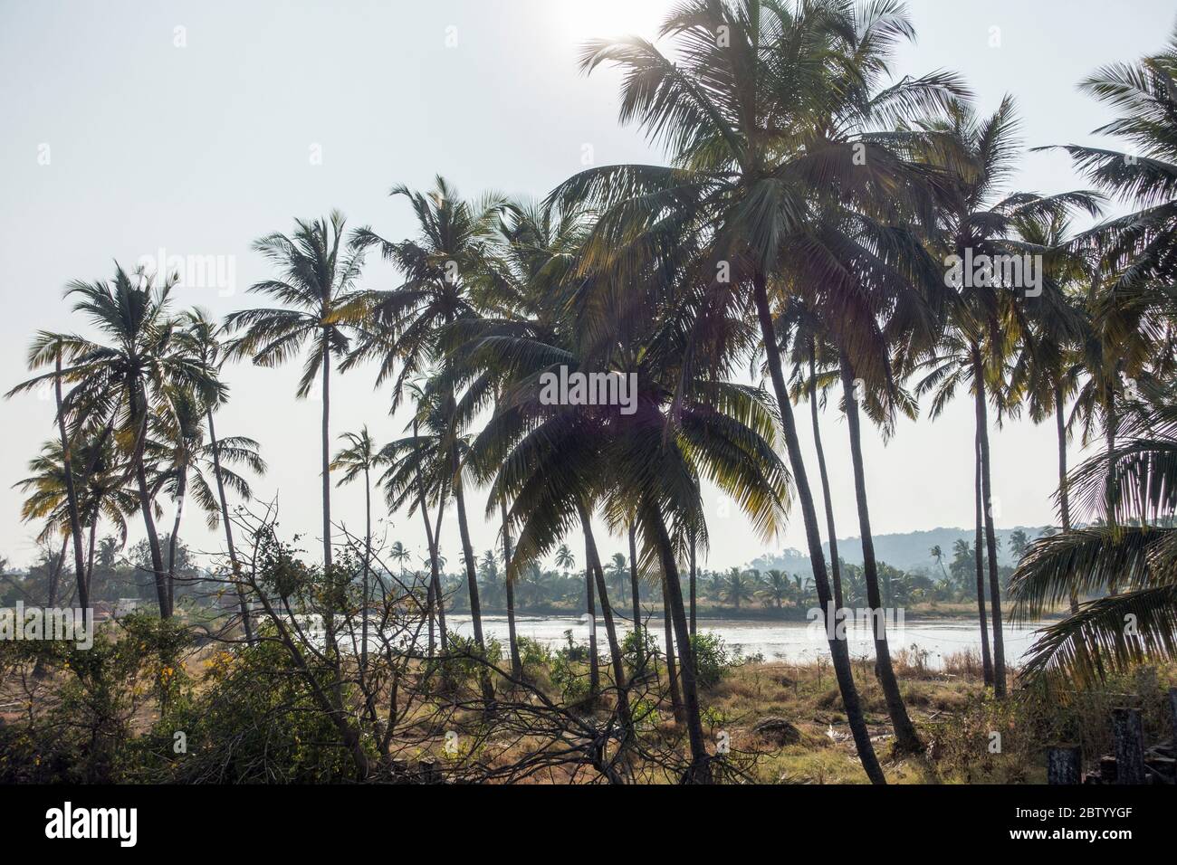 A walk through hotel Rio, along the Baga River to Mahindra Dorada Stock ...