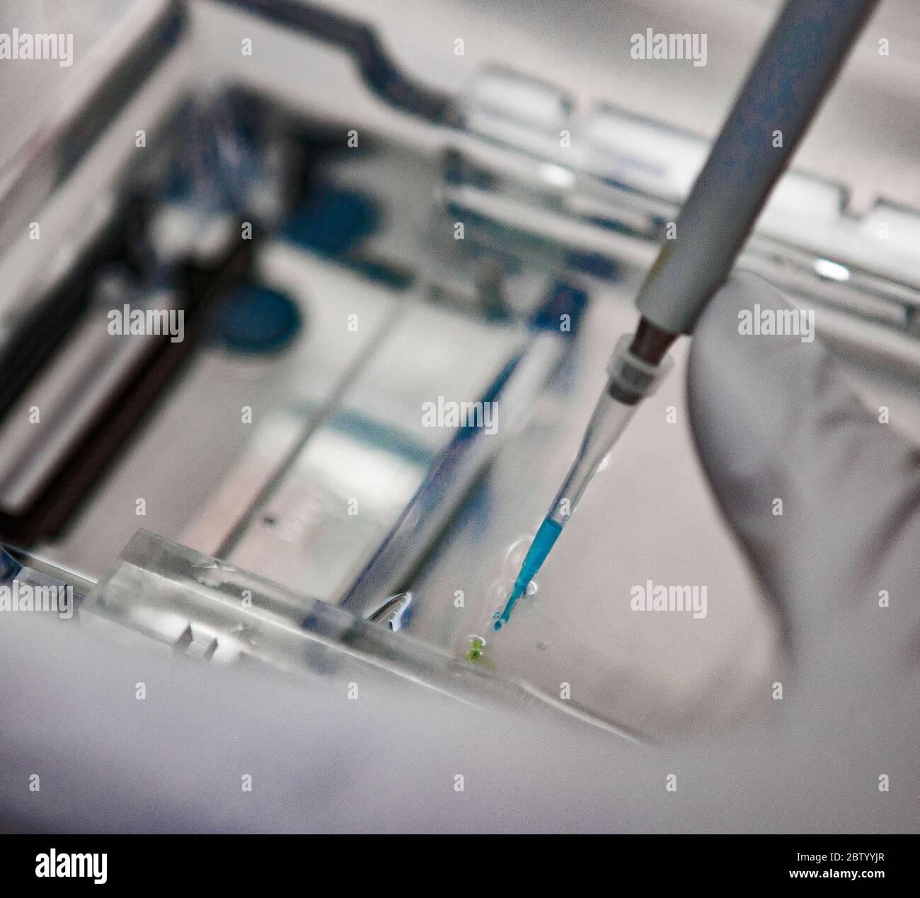 Biomass energy research conducted in laboratory Stock Photo - Alamy