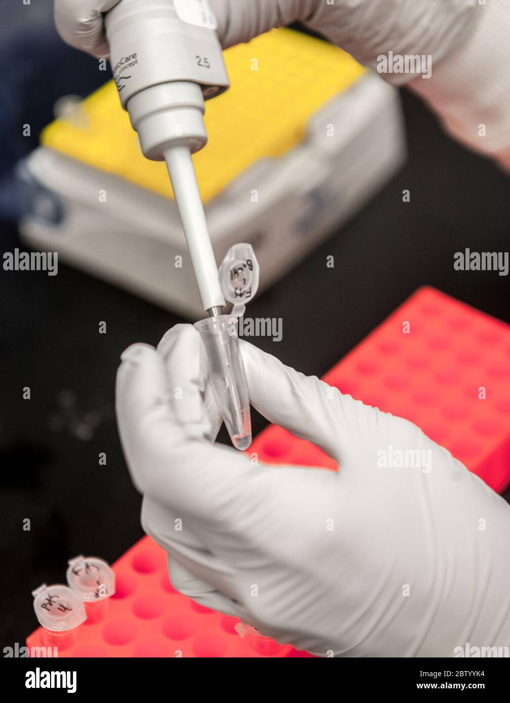 Technician conducts biomass energy research conducted in laboratory ...