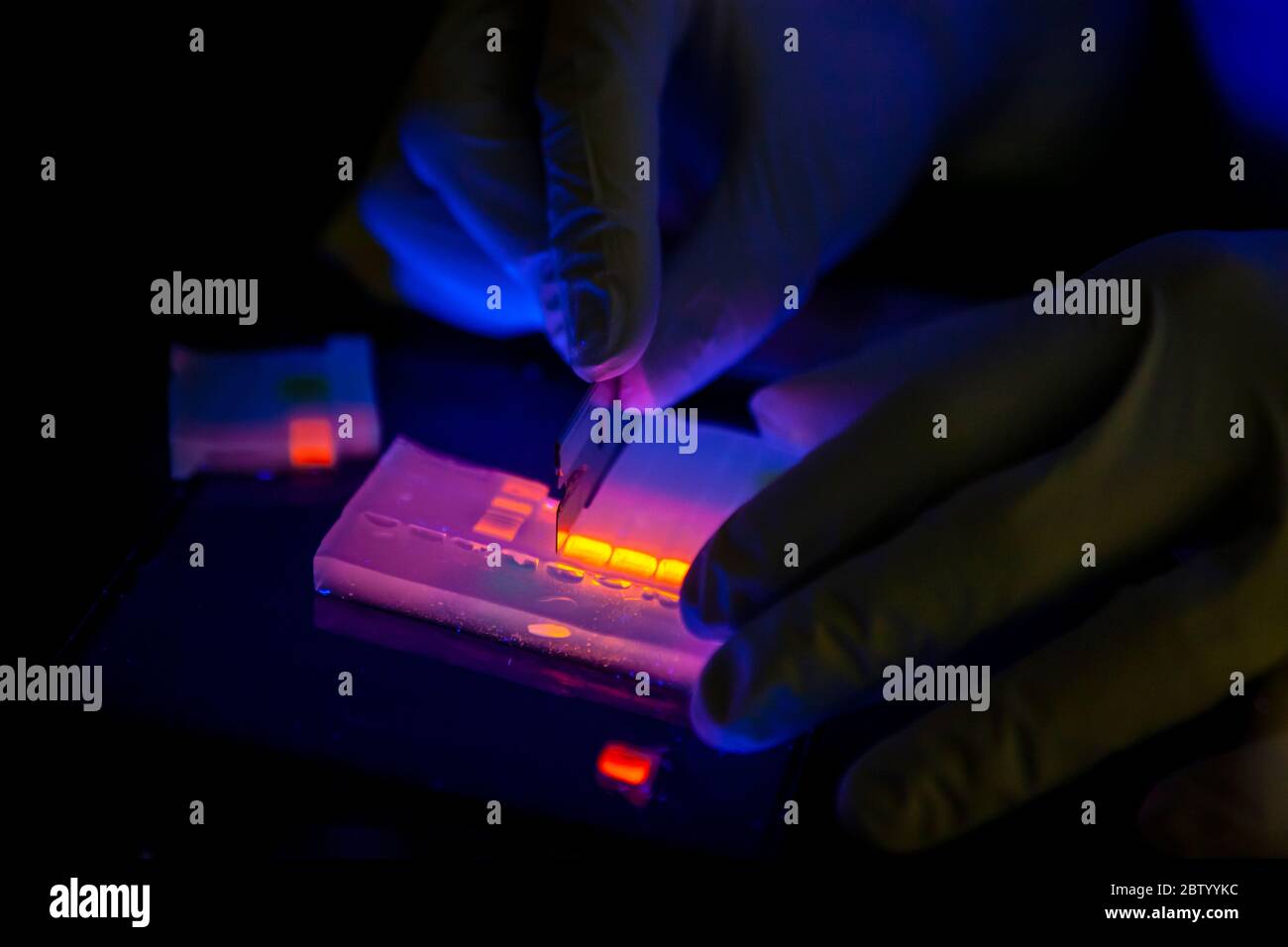 Technician conducts biomass energy DNA research conducted in lab Stock ...