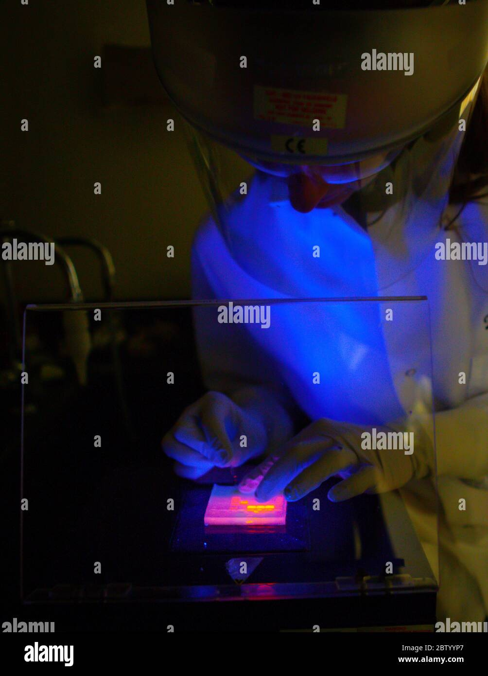 Technician conducts biomass energy DNA research conducted in lab Stock ...