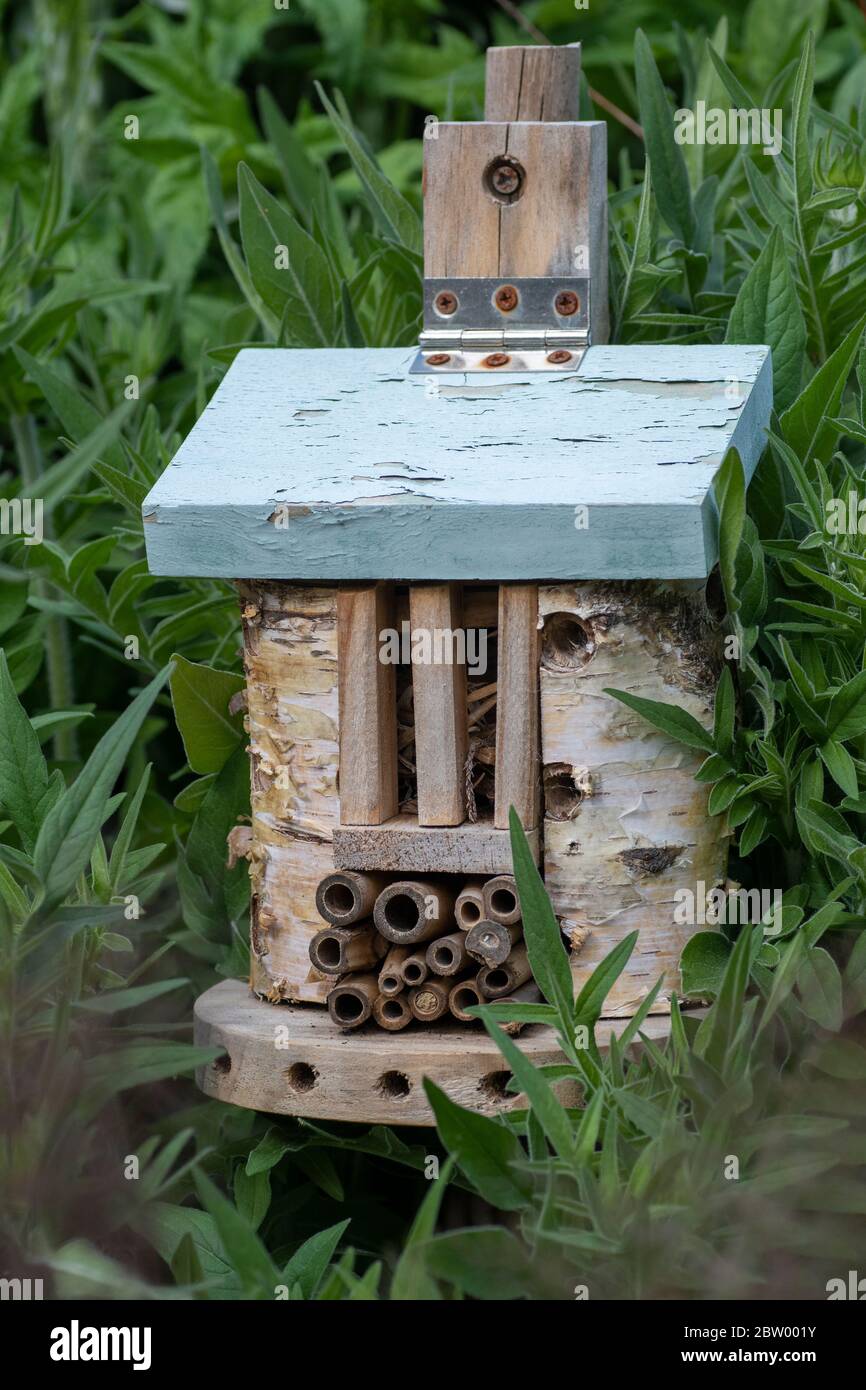 Bee hotel hi-res stock photography and images - Alamy