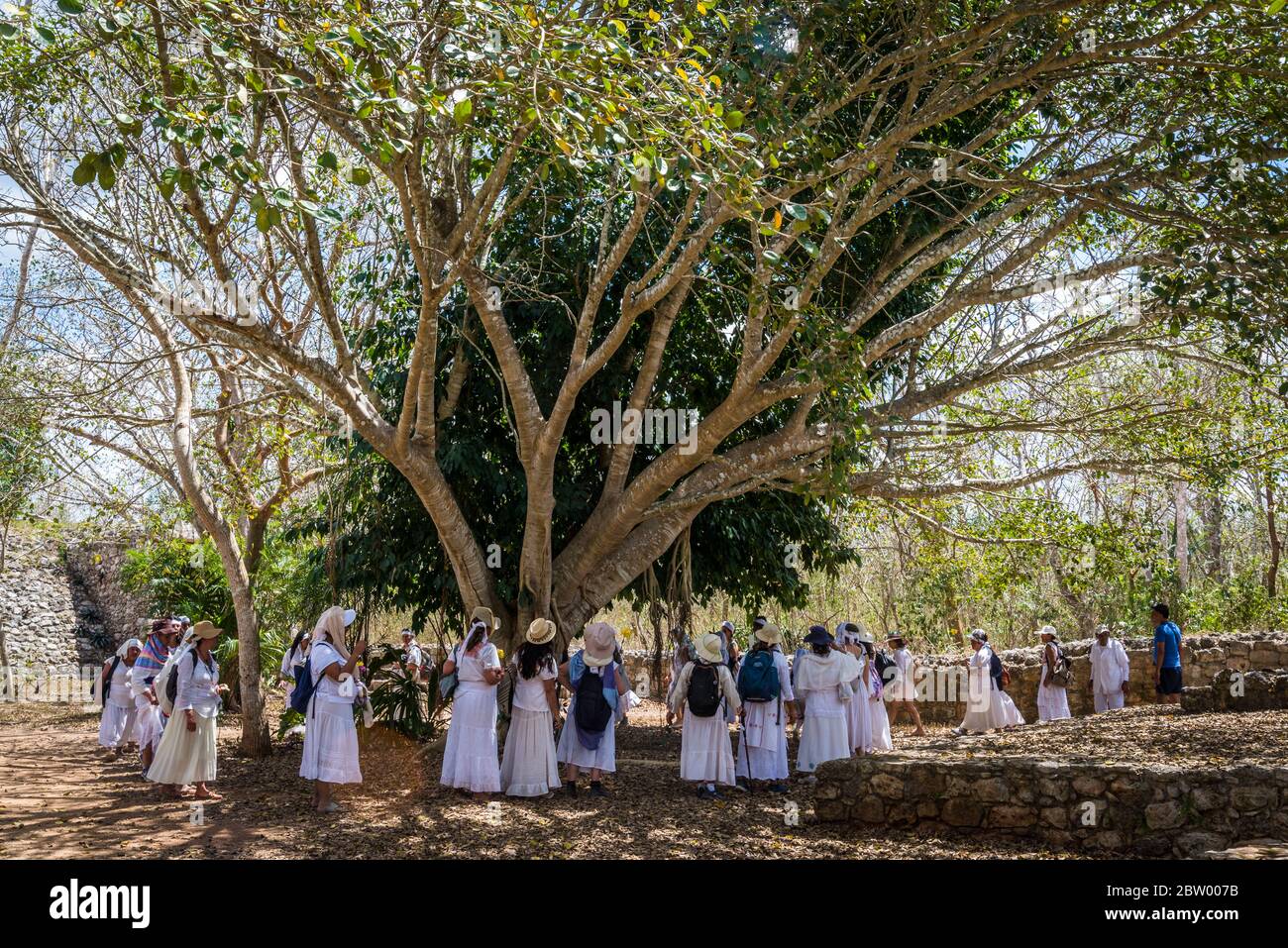 People dressed in white performing a ritual around a tree at the Mayan ...