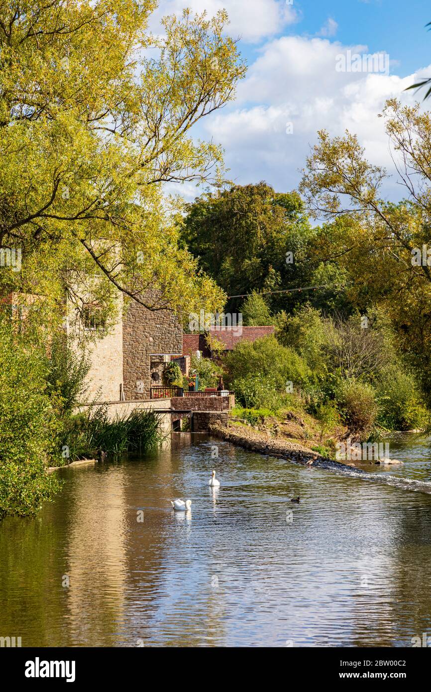 Old Mill building with garden and mill stream on the River Teme, Ludlow ...