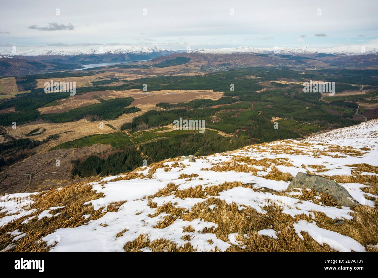 Deforestation barren hi-res stock photography and images - Alamy