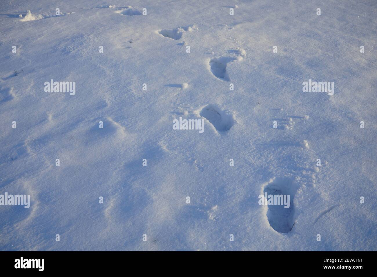 Person footprints in snow hi-res stock photography and images - Alamy