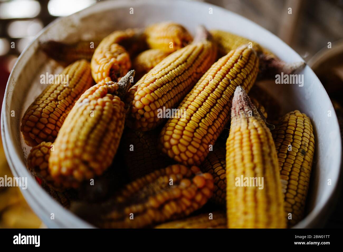 Group of corn hi-res stock photography and images - Alamy