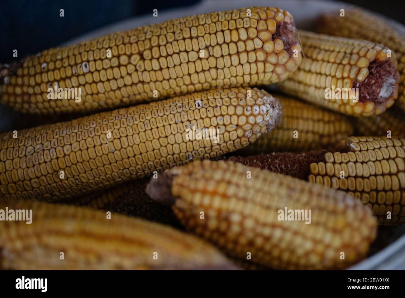 Sweet corn basket hi-res stock photography and images - Alamy