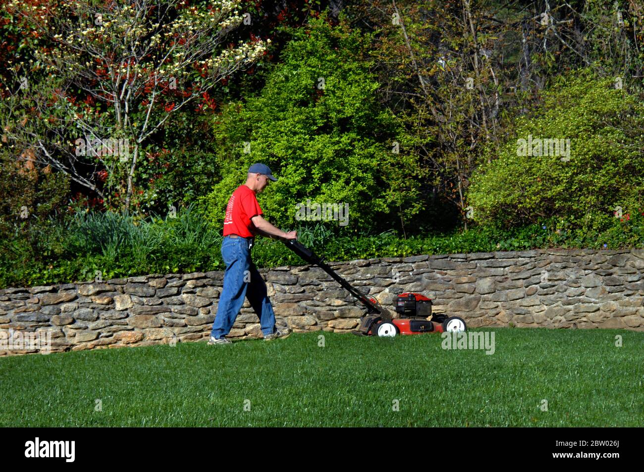 Man pushing mower hi-res stock photography and images - Alamy