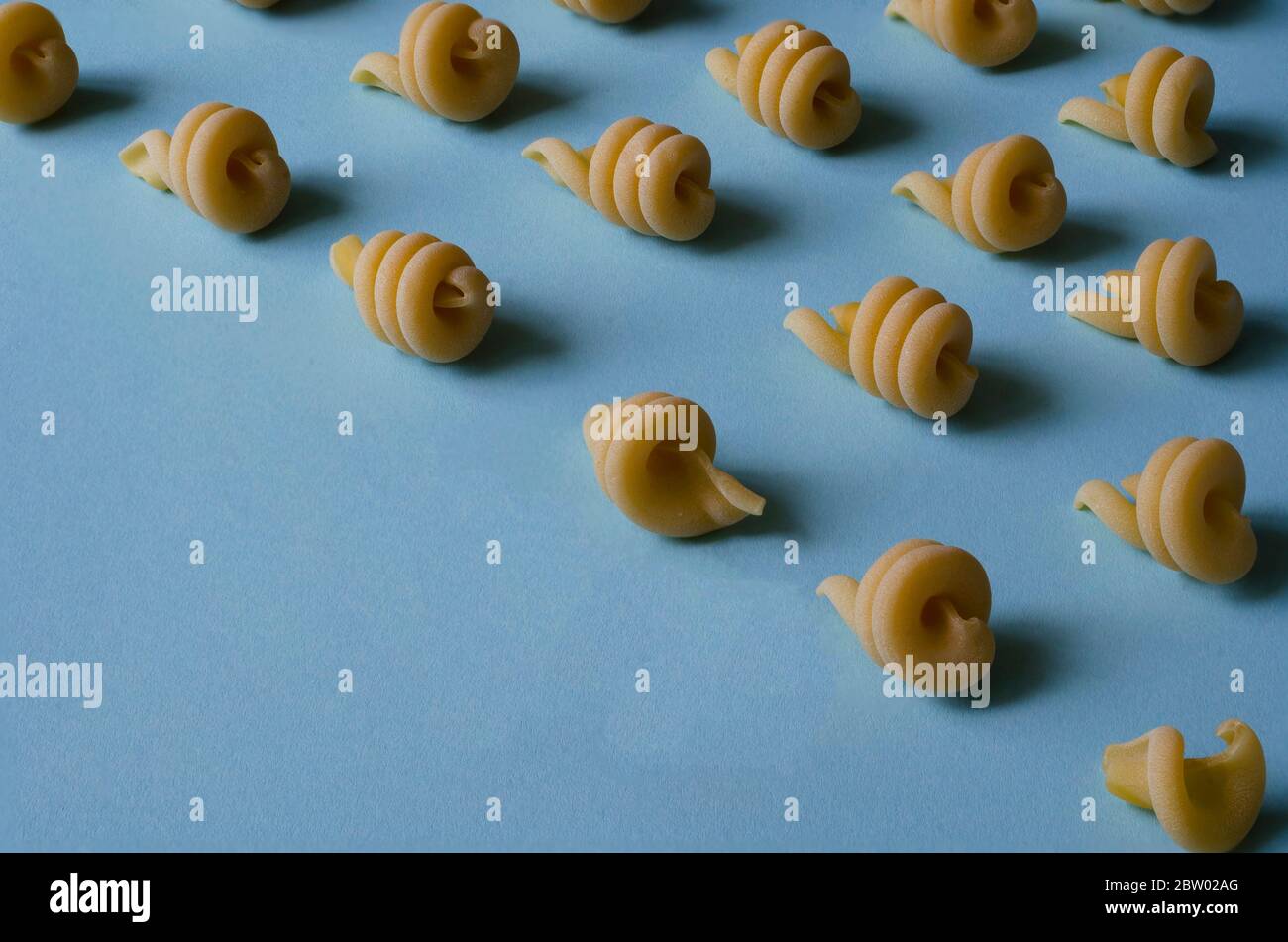 Creative background with insalatonde pasta on a light blue background ...
