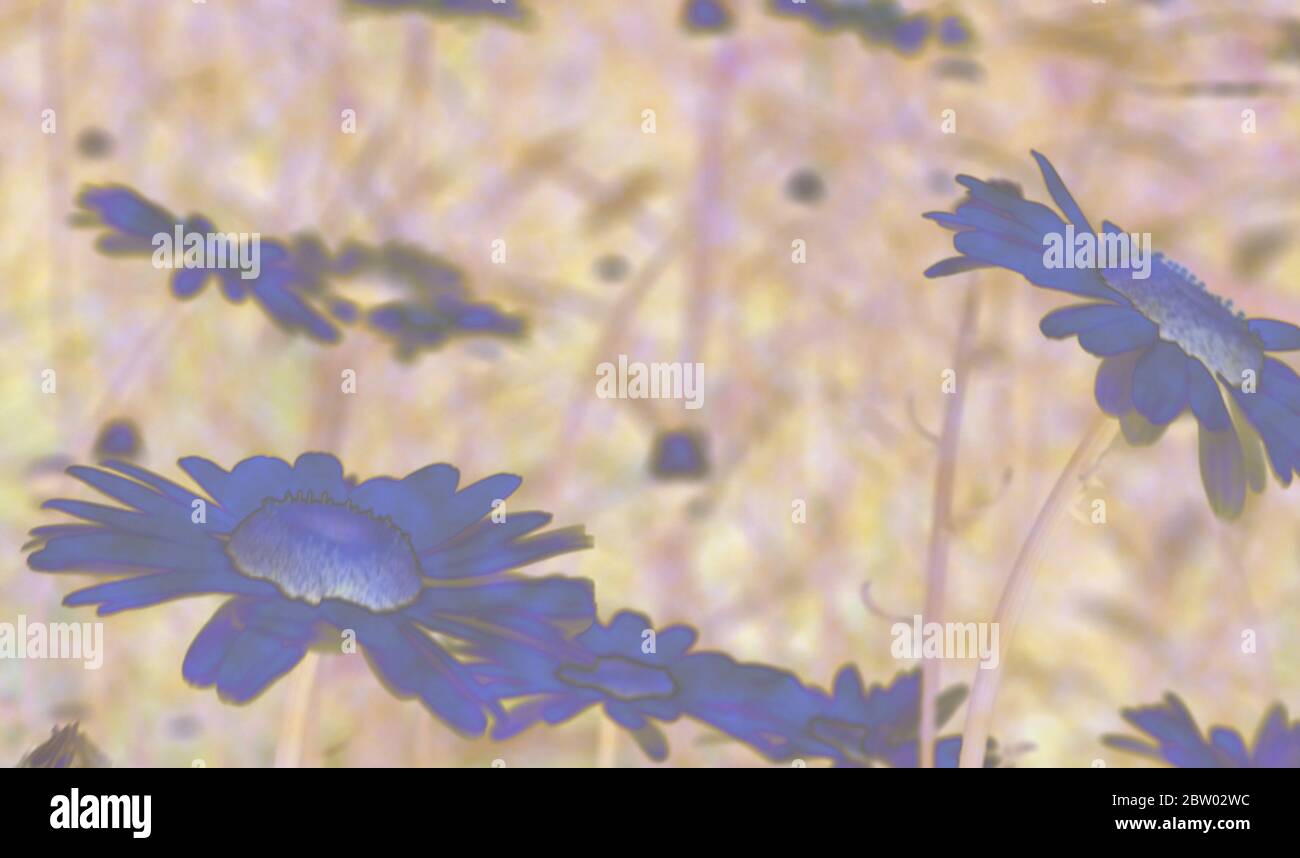 Negative effect hi-res stock photography and images - Alamy