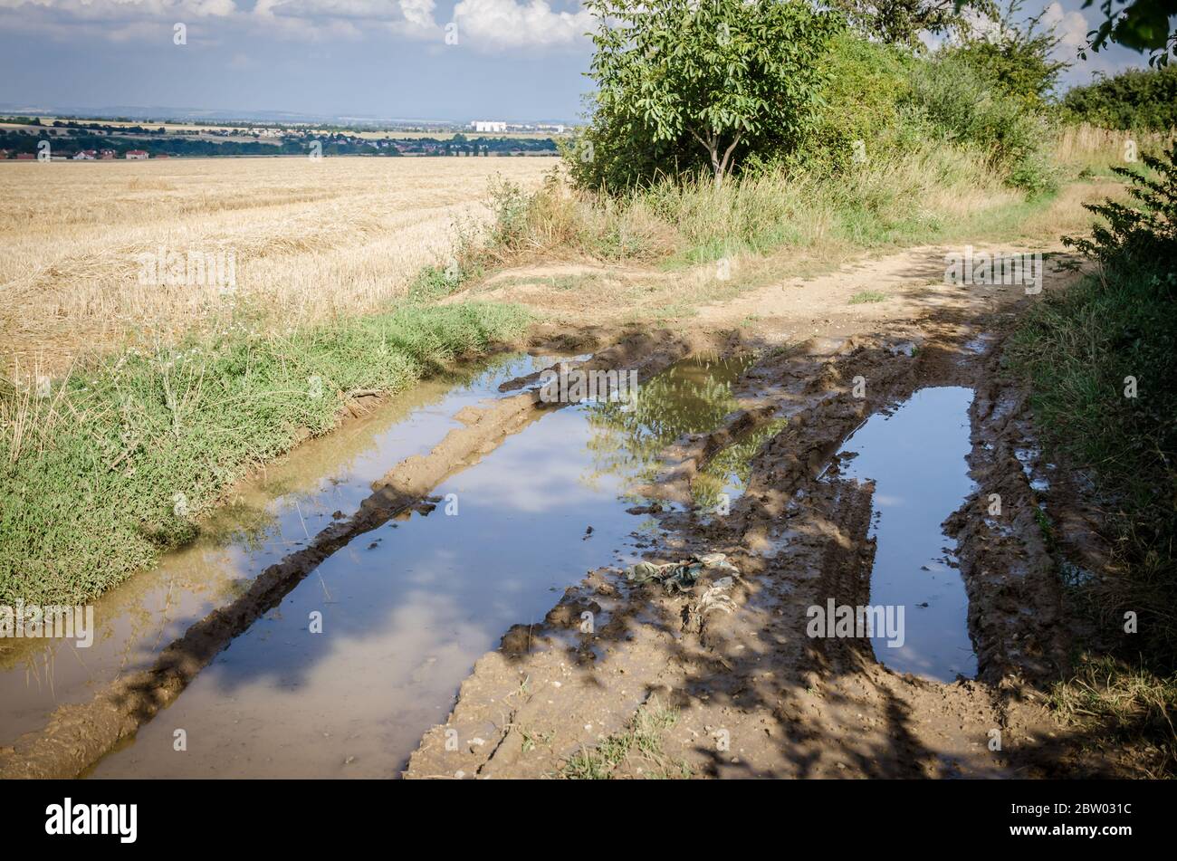 Puddles in green field hi-res stock photography and images - Alamy
