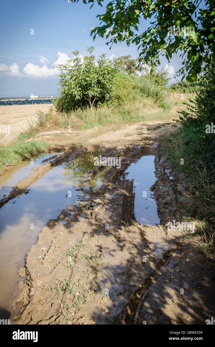 spring puddles in fields and meadow Stock Photo - Alamy