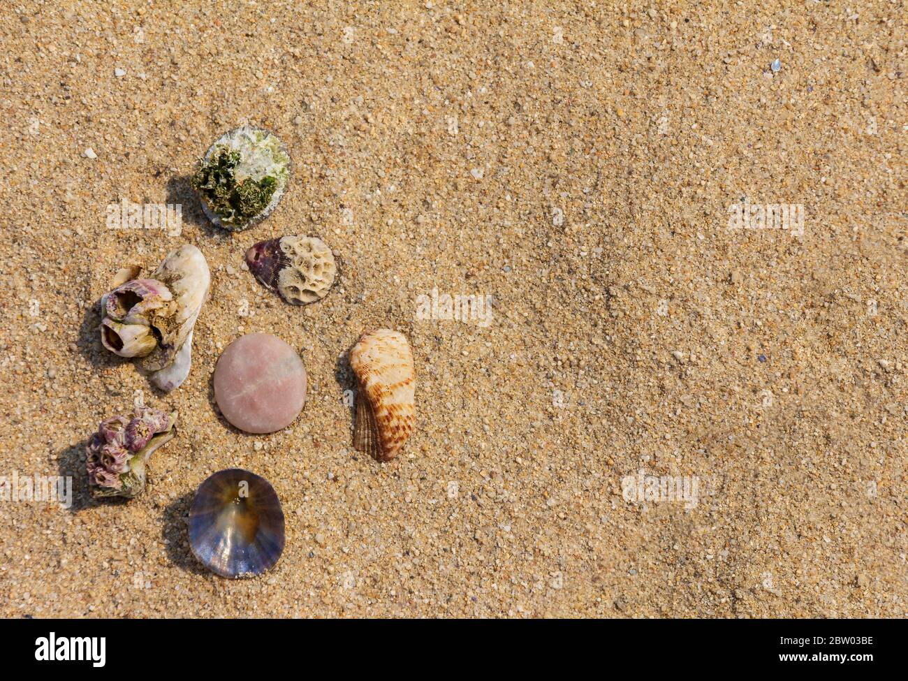 Sea objects on sand - vacation background 1 Stock Photo - Alamy