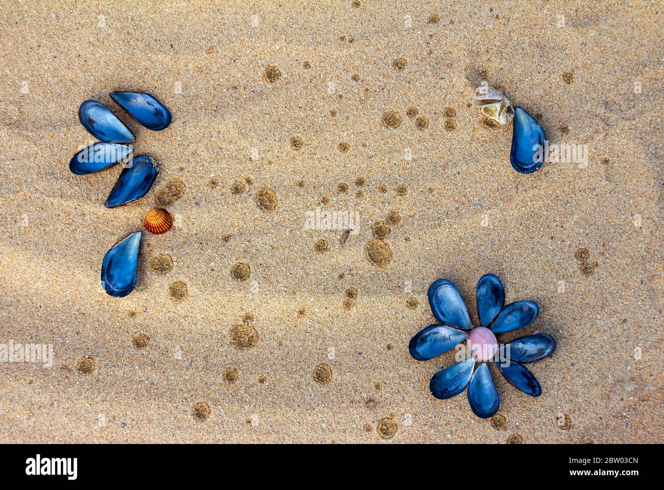 Leaflet background hi-res stock photography and images - Alamy