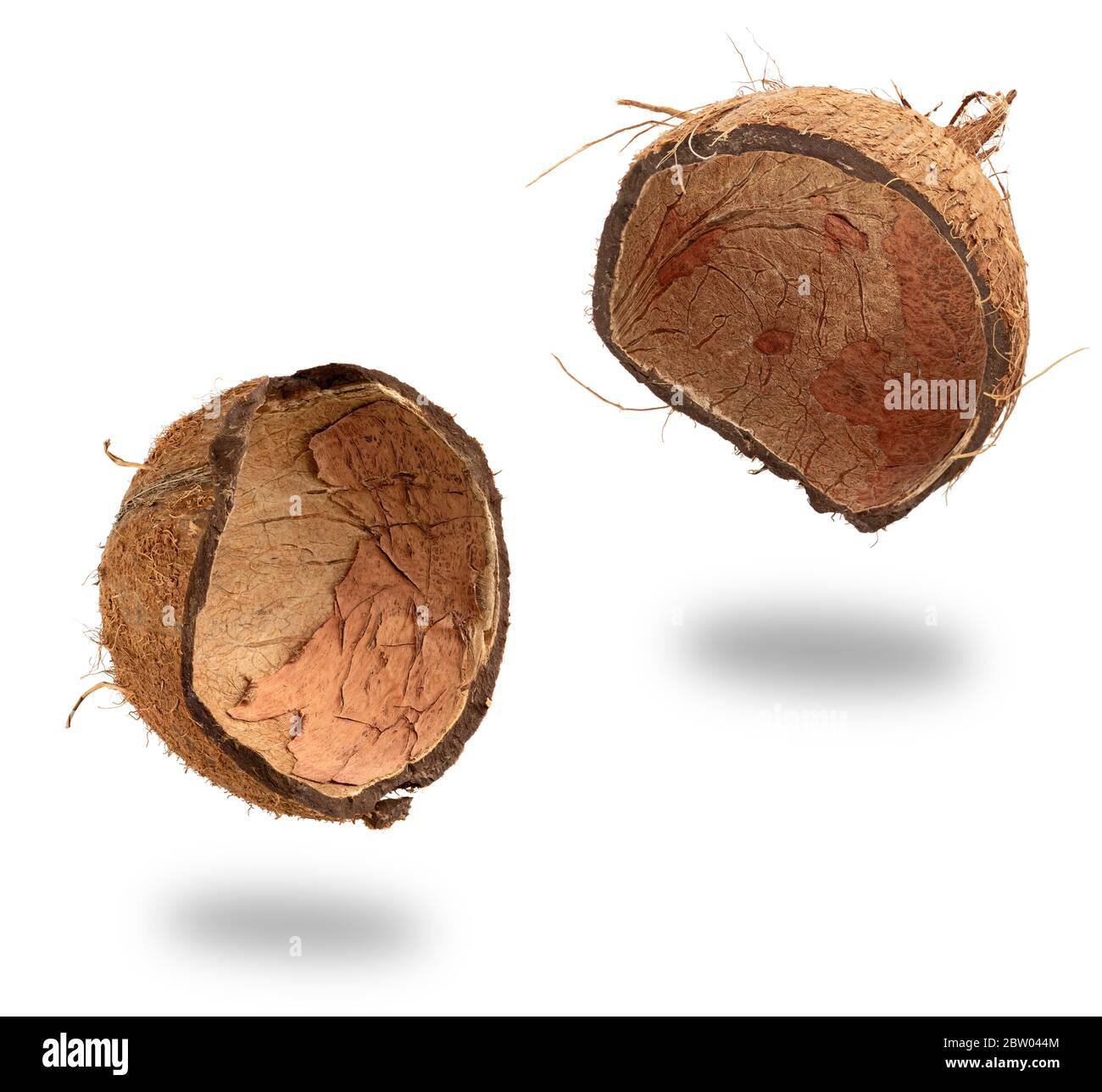 Coconut fruit shell cut in half isolated over the white background, set ...