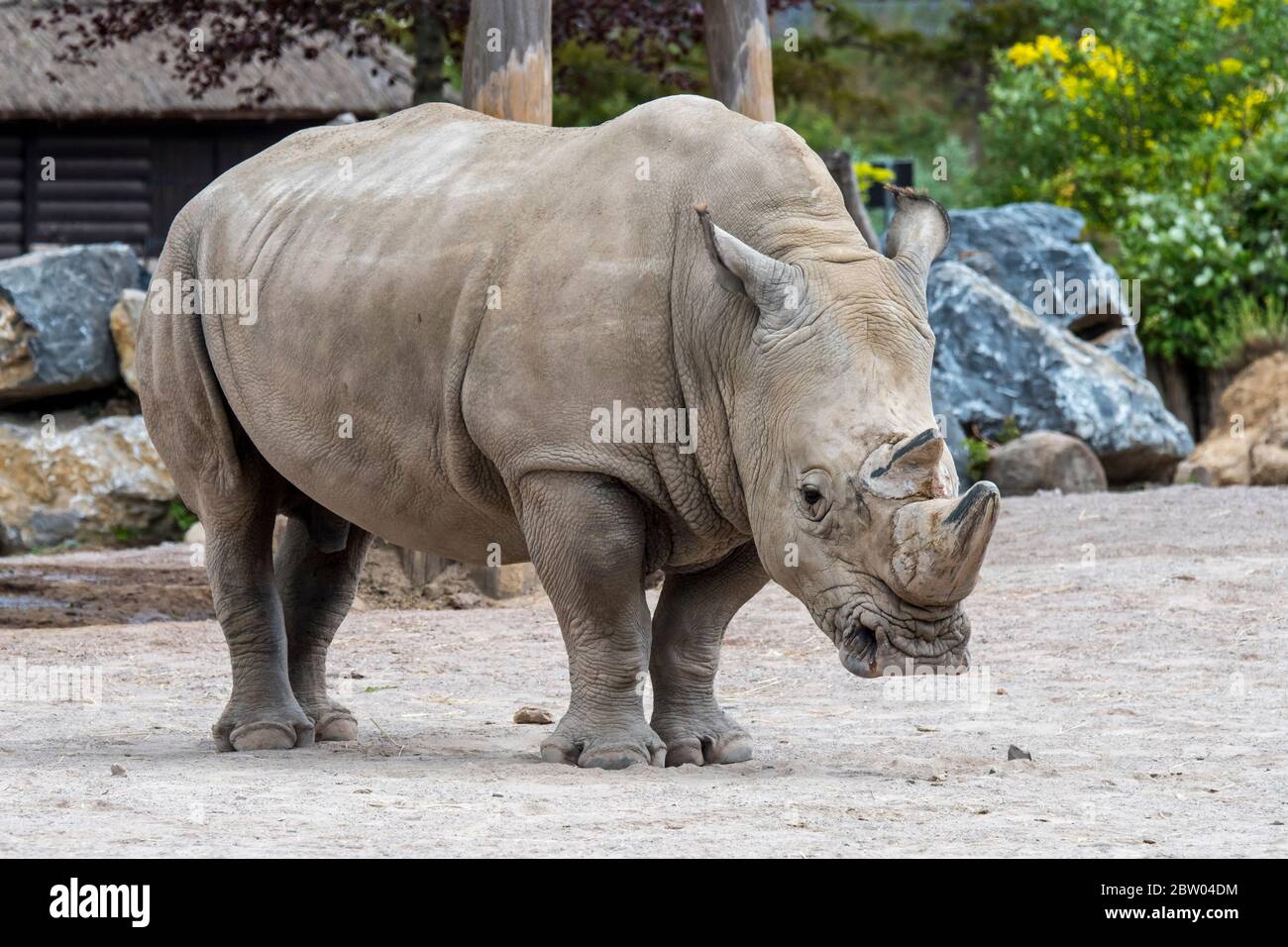 Zoo animals enclosure hi-res stock photography and images - Alamy