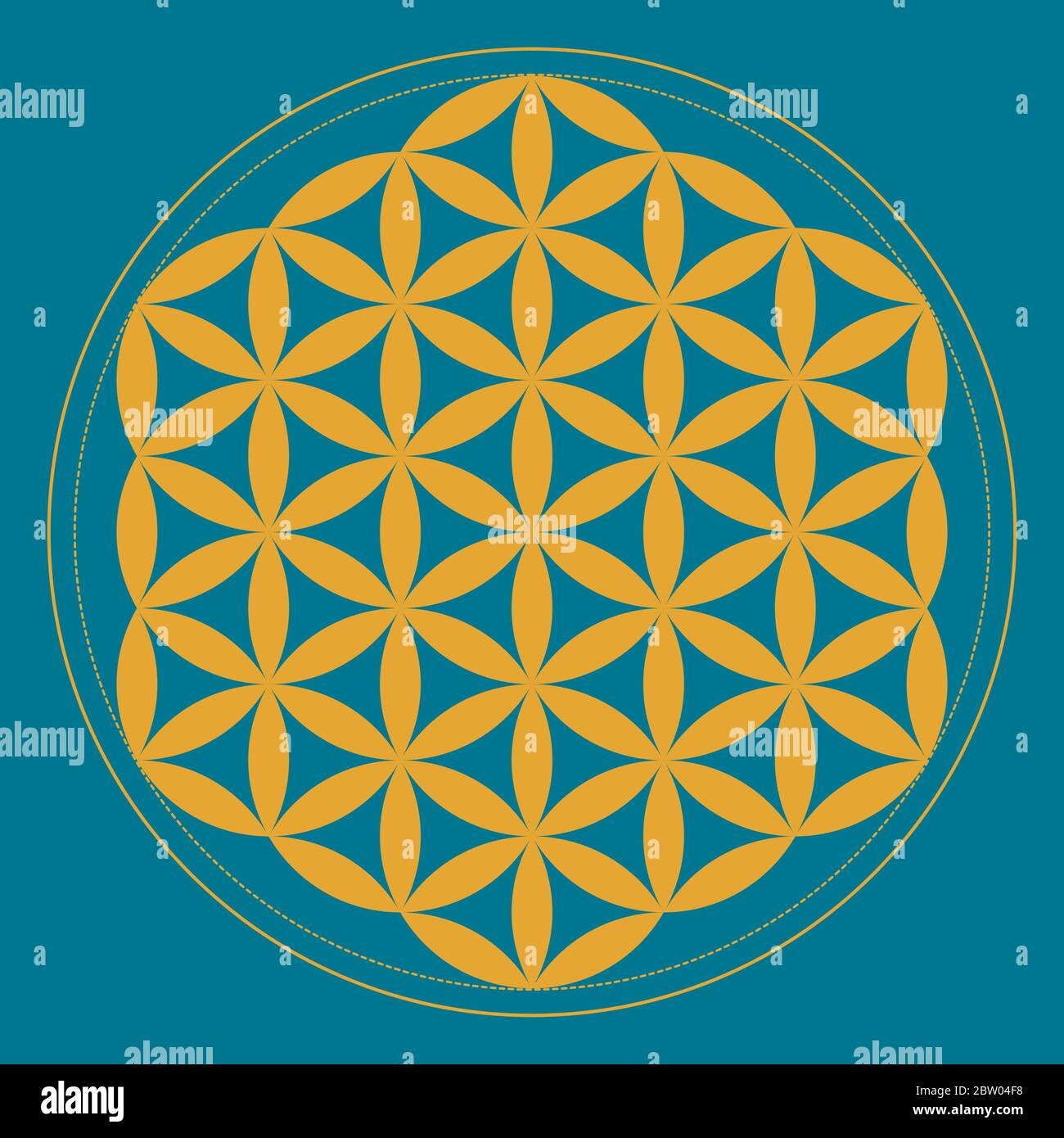 Flower life yantra mandala Stock Vector Images - Alamy