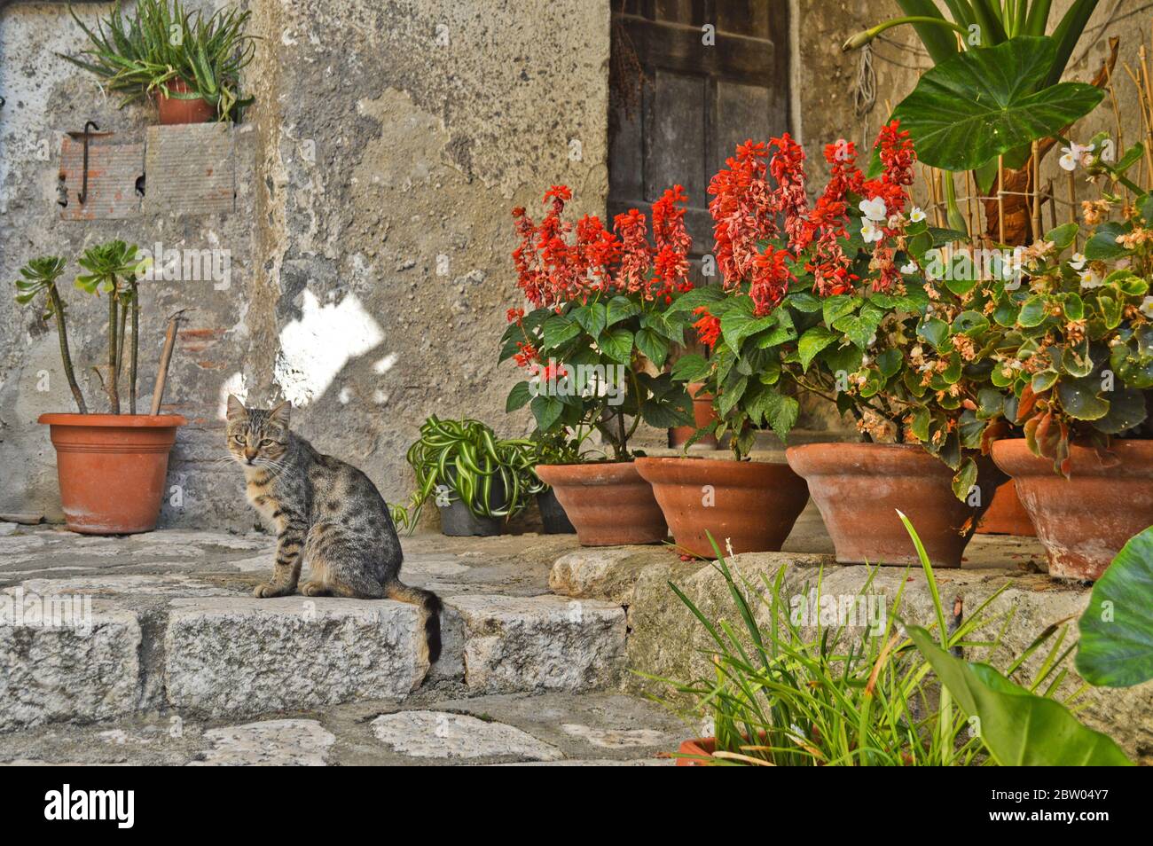 Presenzano hi-res stock photography and images - Alamy