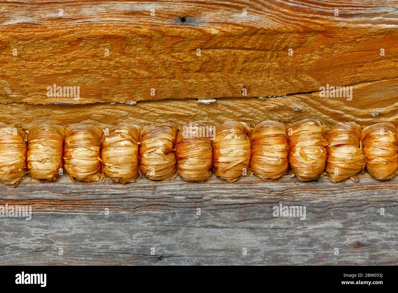 The joining of wooden logs and their sealing. This is a fragment of the ...