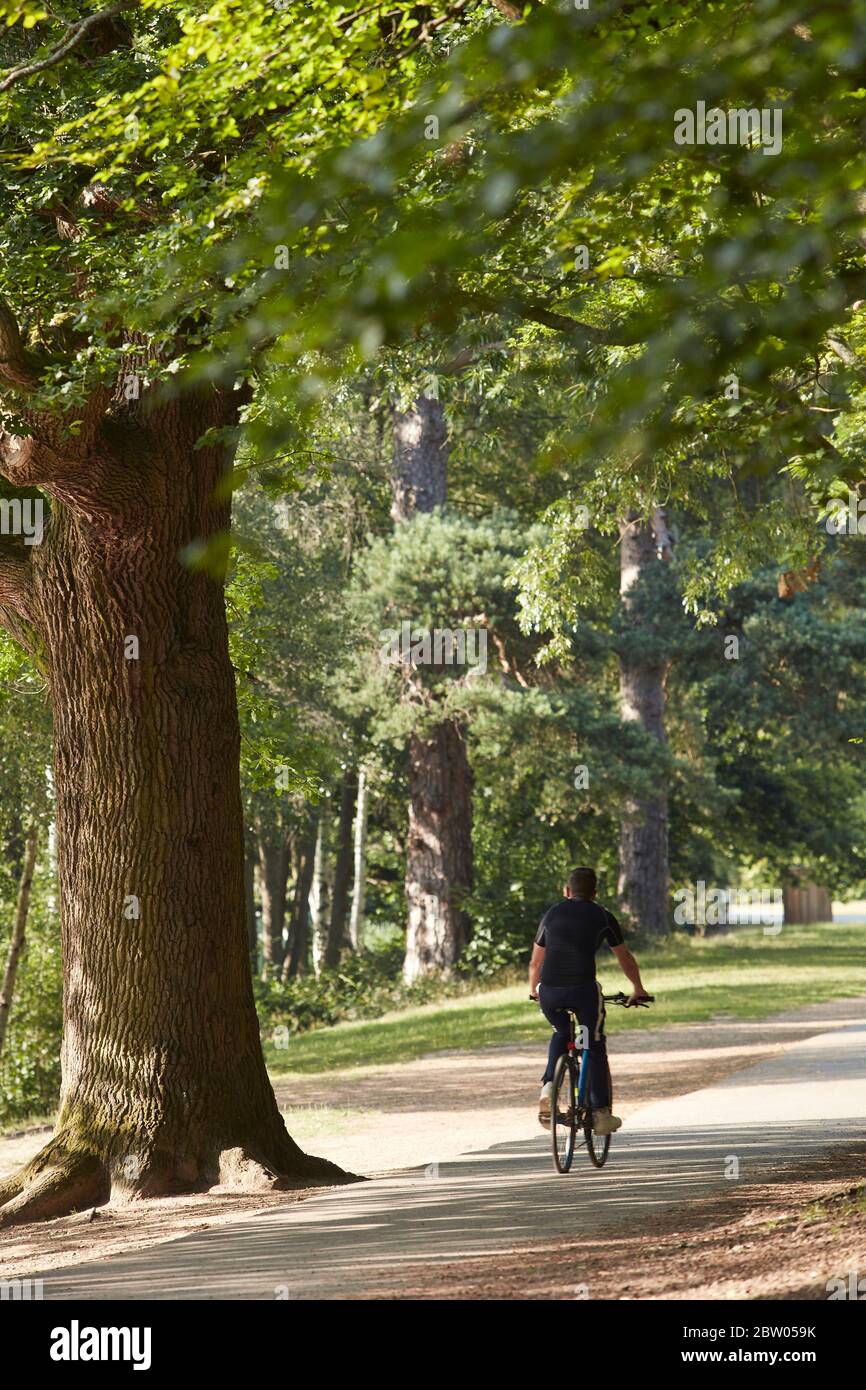 Virginia Water, Windsor Great Park, Surrey, England Stock Photo - Alamy