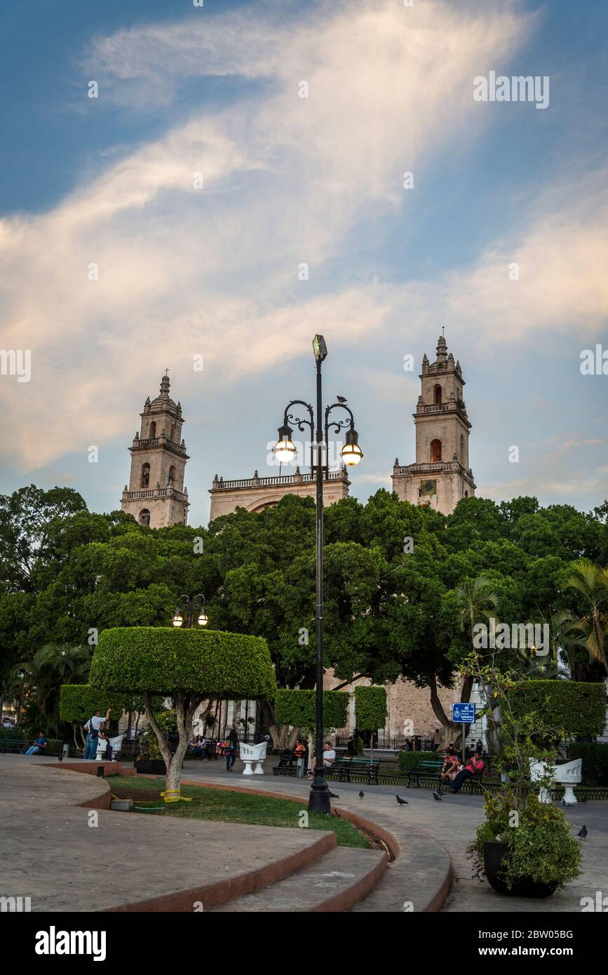Tree lined central square Plaza Grande, Merida, Yucatan, Mexico Stock ...