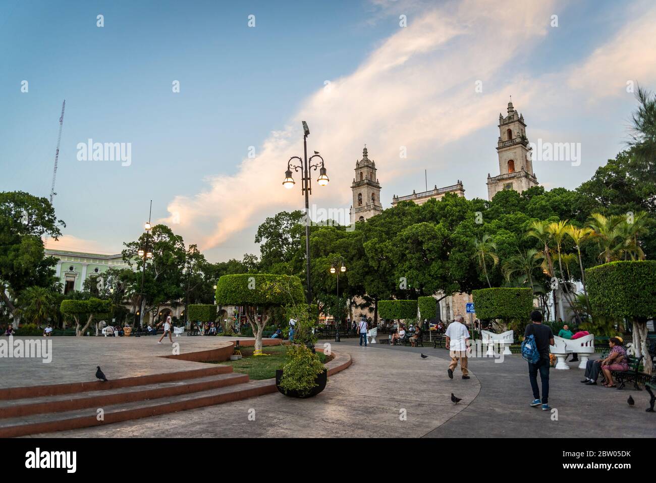 Tree lined central square Plaza Grande, Merida, Yucatan, Mexico Stock ...