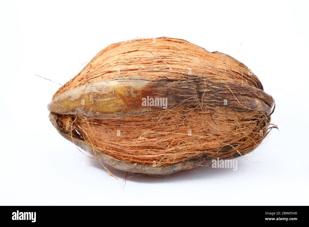Coconut tree on beach Cut Out Stock Images & Pictures - Alamy