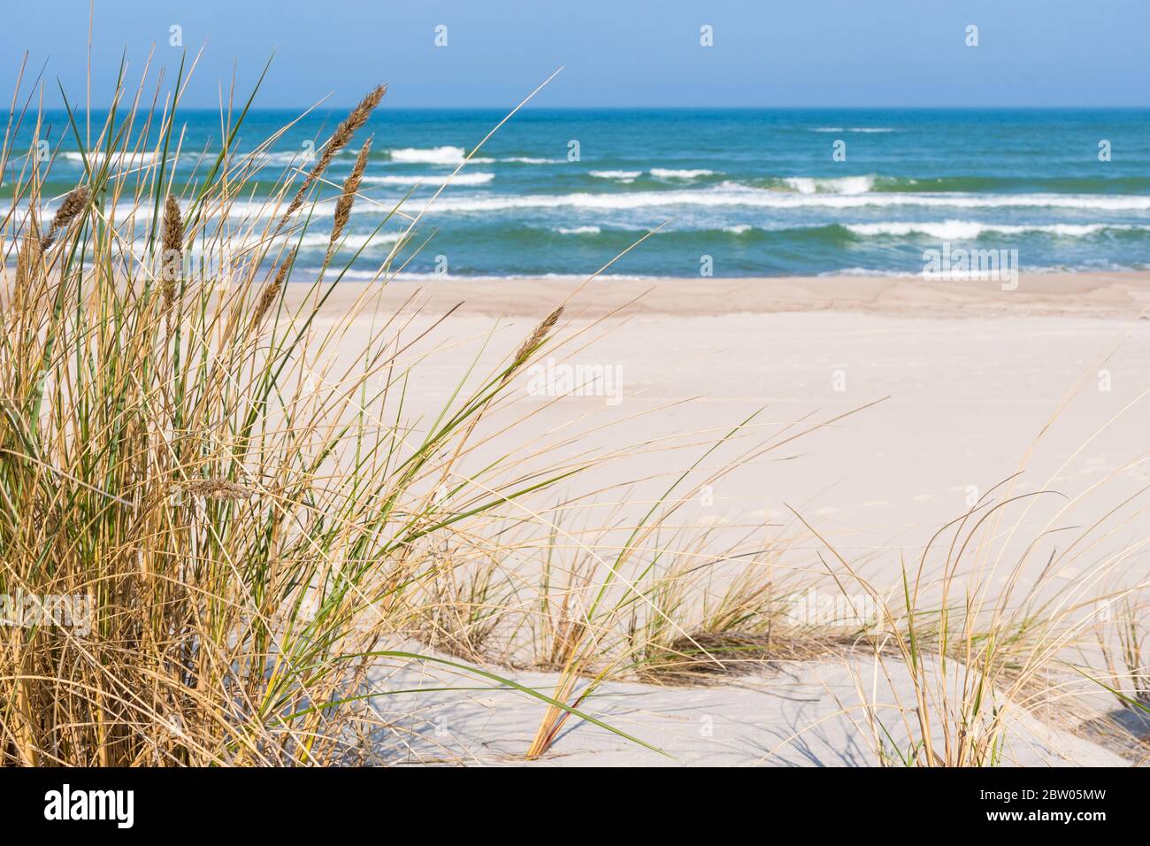 Reeds sand and water hi-res stock photography and images - Alamy