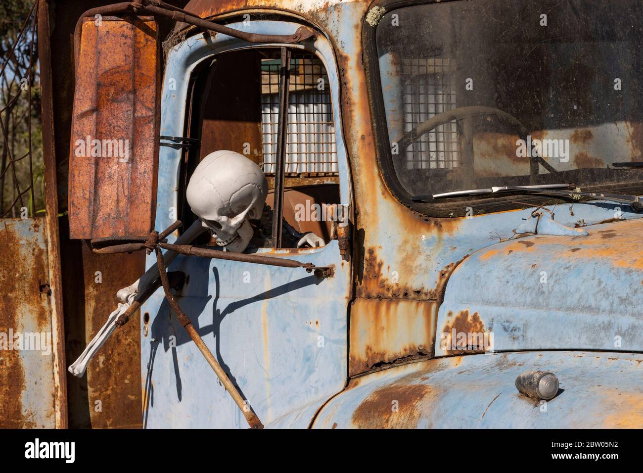 A dry skeleton in a rusty old truck in strong sun light Stock Photo - Alamy