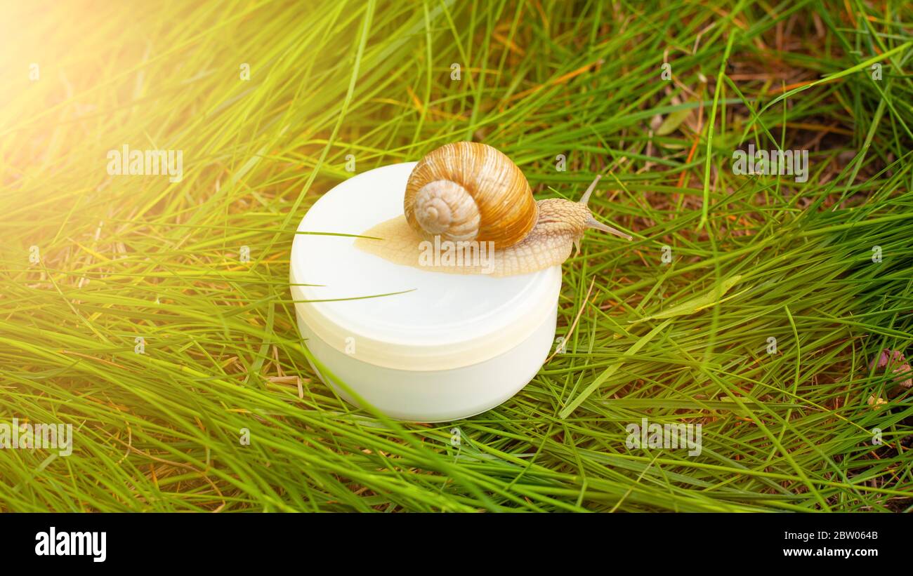 body cosmetics with snail mucus, anti-aging skin cream on green grass ...