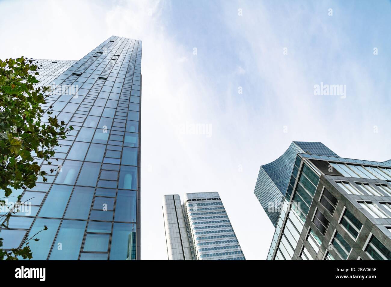 Green tree near skyscraper with blue clear windows Stock Photo - Alamy