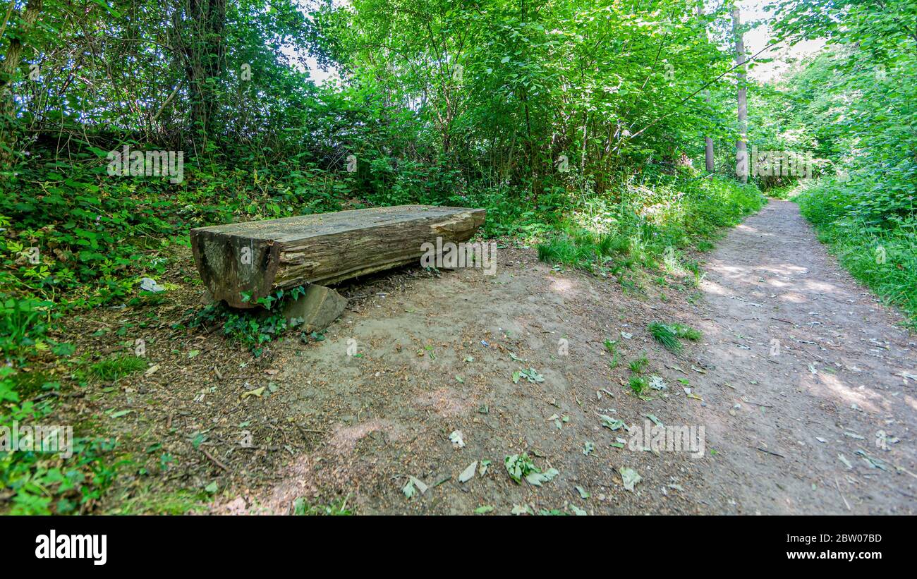 Tree trunk used as a bench next to a pedestrian path in the middle of ...