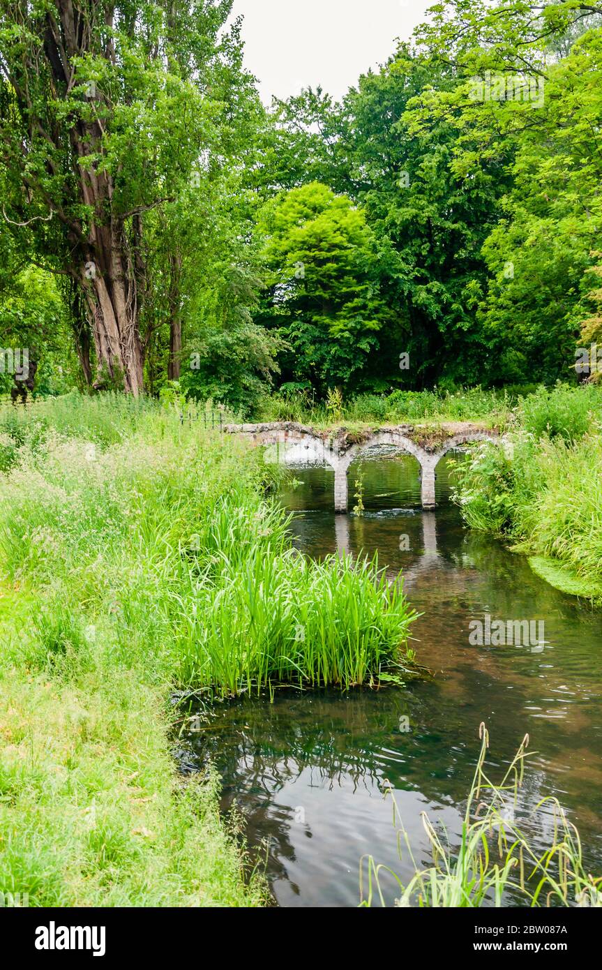 River wandle trail hi-res stock photography and images - Alamy