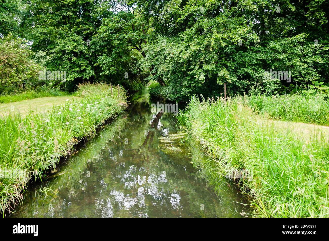 Wandle river trail hi-res stock photography and images - Alamy