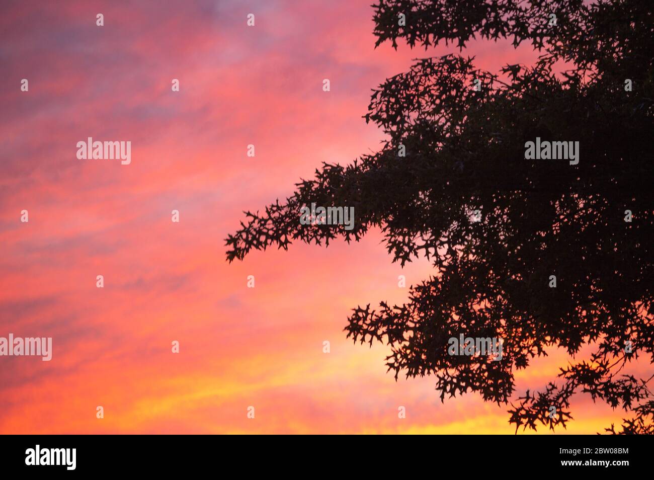 Philadelphia PA Sunset Stock Photo - Alamy