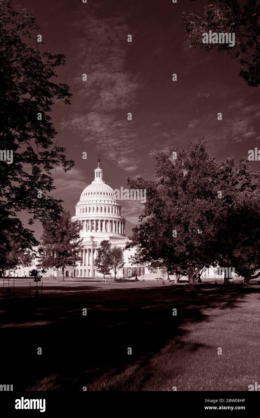 The United States Capitol, First St SE, Washington, DC 20004, USA ...